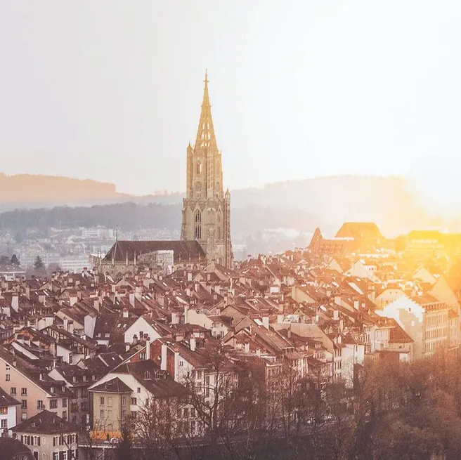 avendo AG - voller Maklerservice, erfahrene Experten, fixe Provision