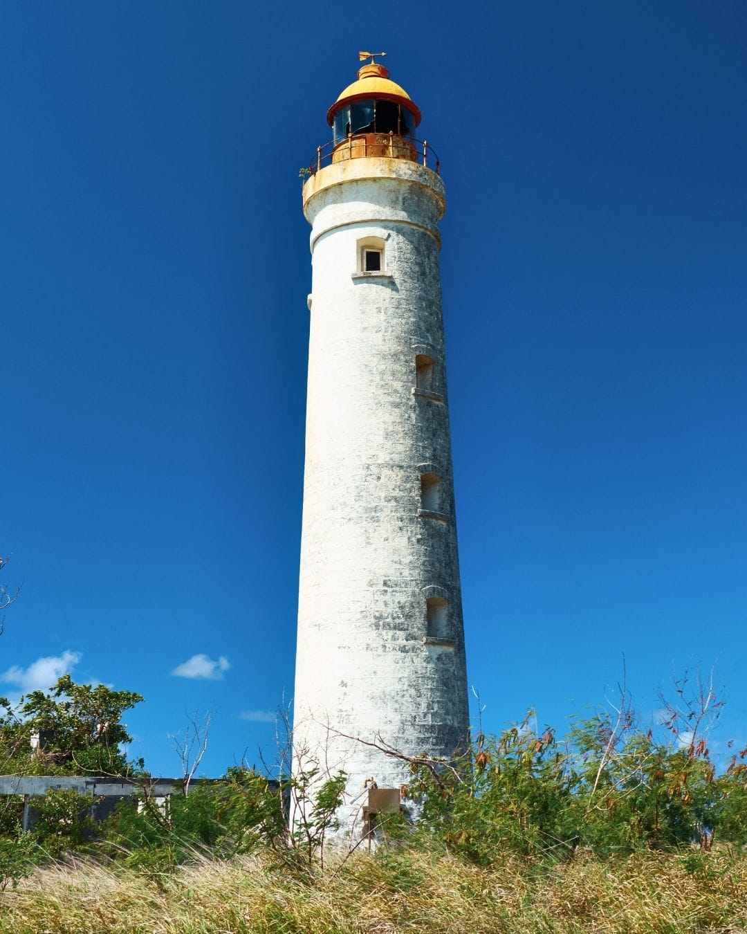 The Caribbean: Experience The Coastline Like A Local