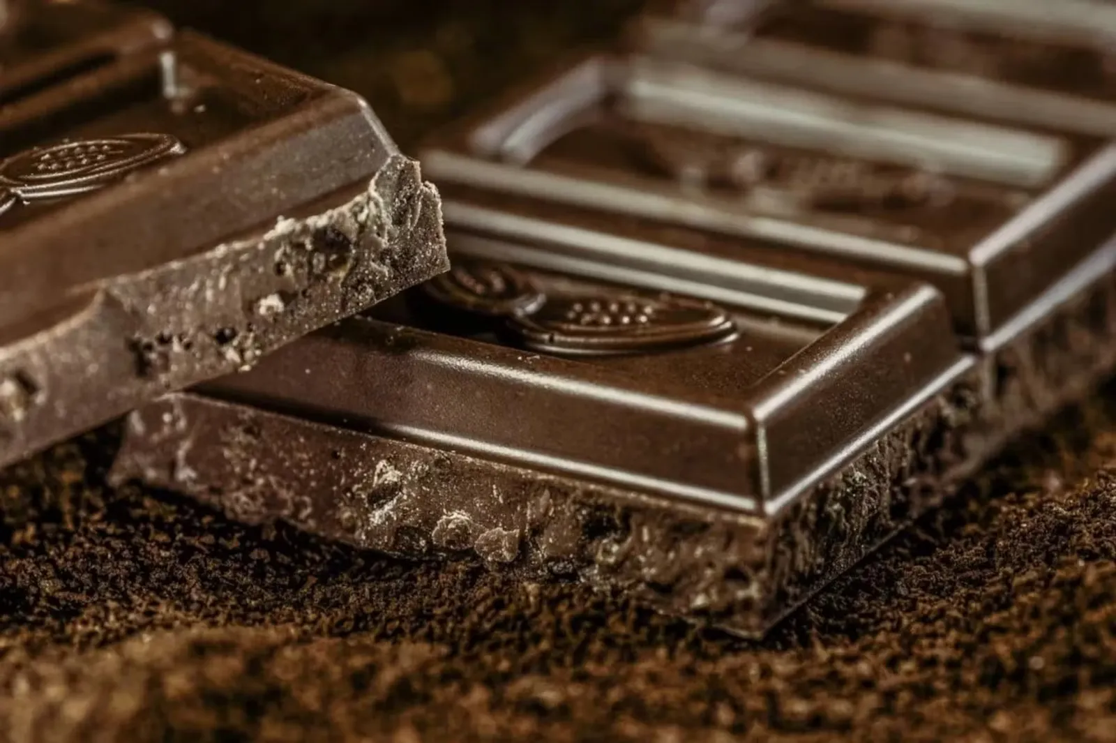 Most Expensive Chocolate: The Costliest Cocoa Confections