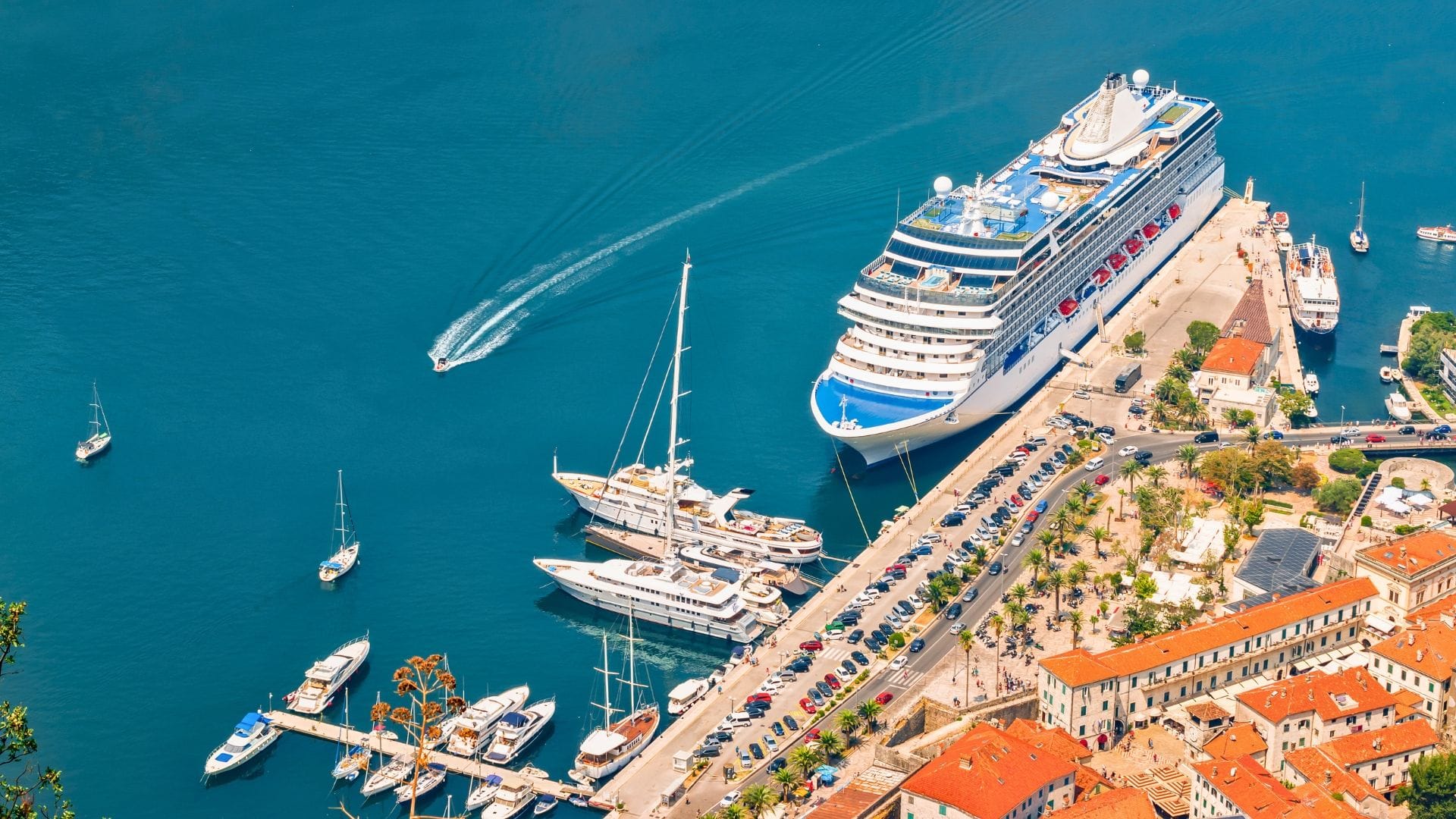 Cruise or Charter? Here Is Everything You Need To Know About Luxury ...