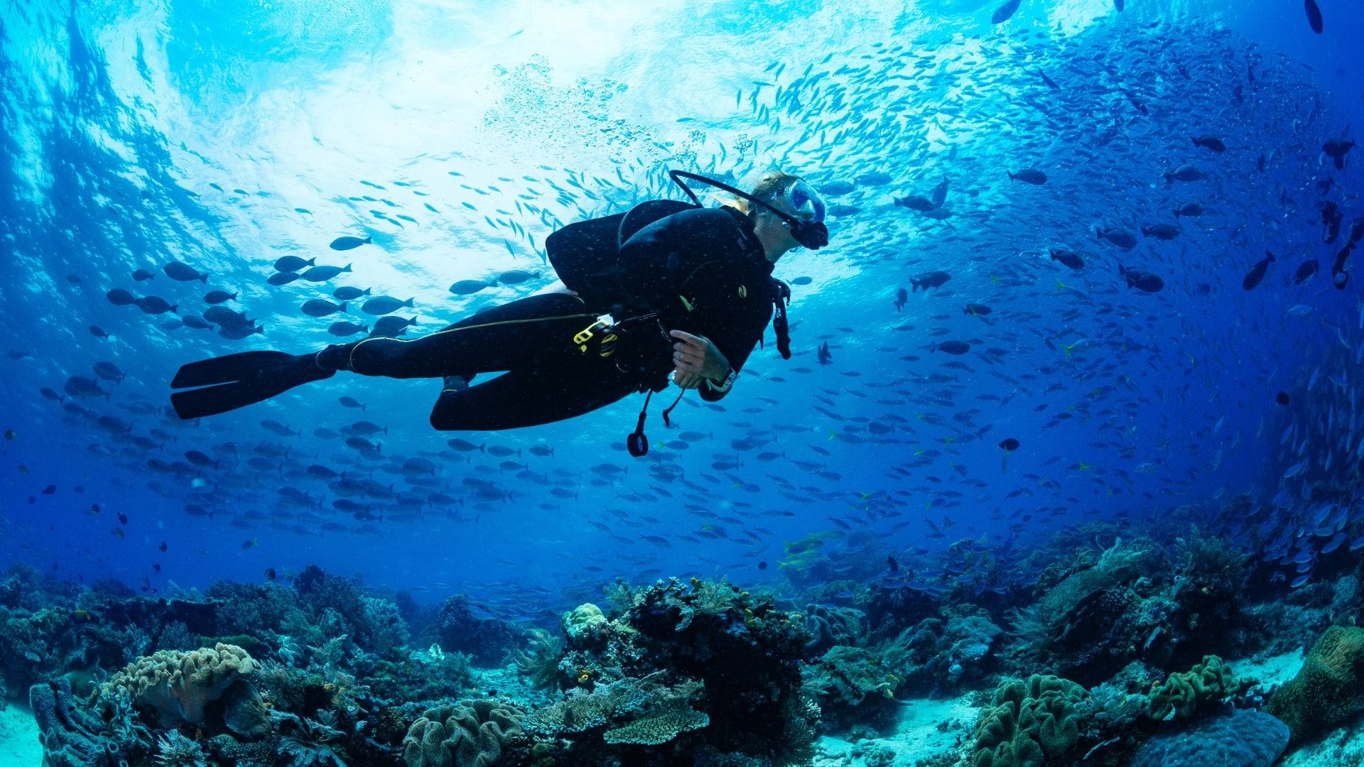 Winter Escape: Why Indonesia Is The Ultimate Yacht Charter Destination