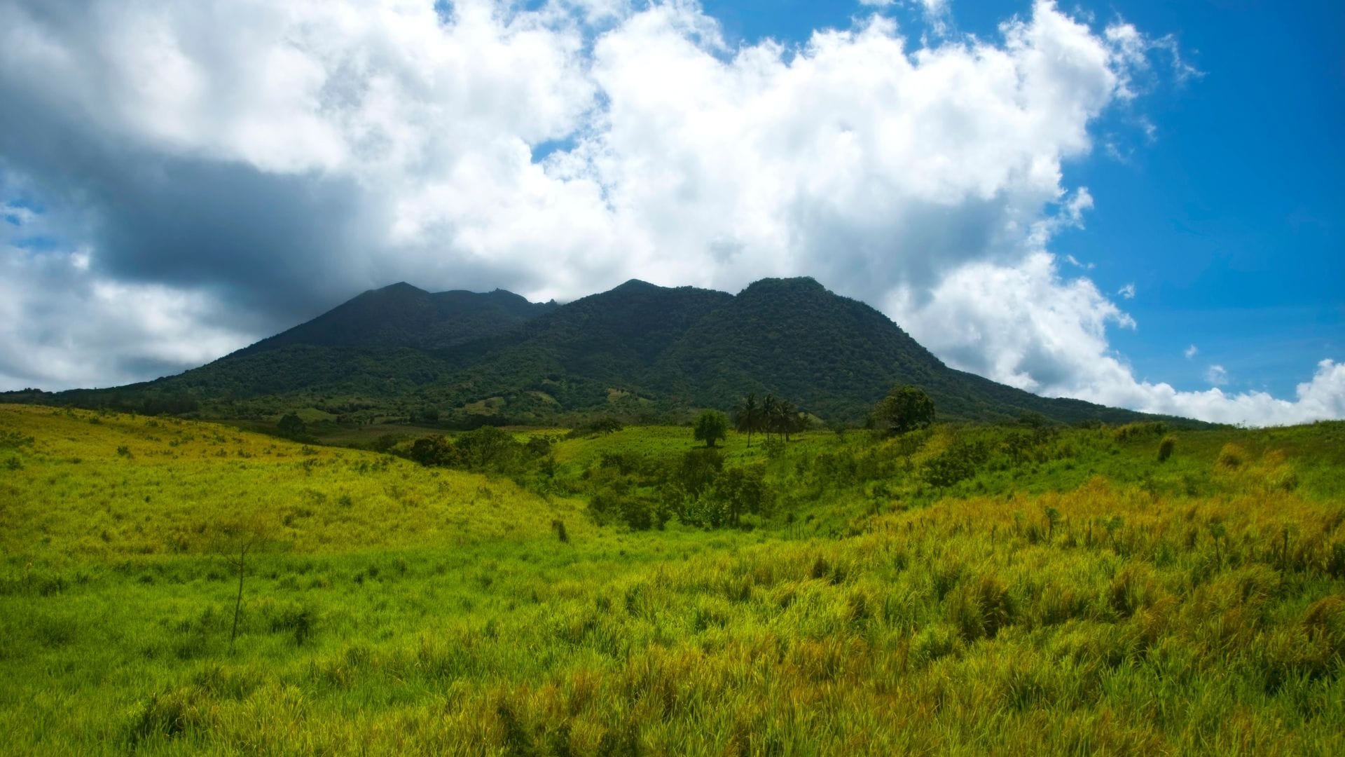 The Wild Side: The Best Caribbean Islands For Hikers And Nature Lovers