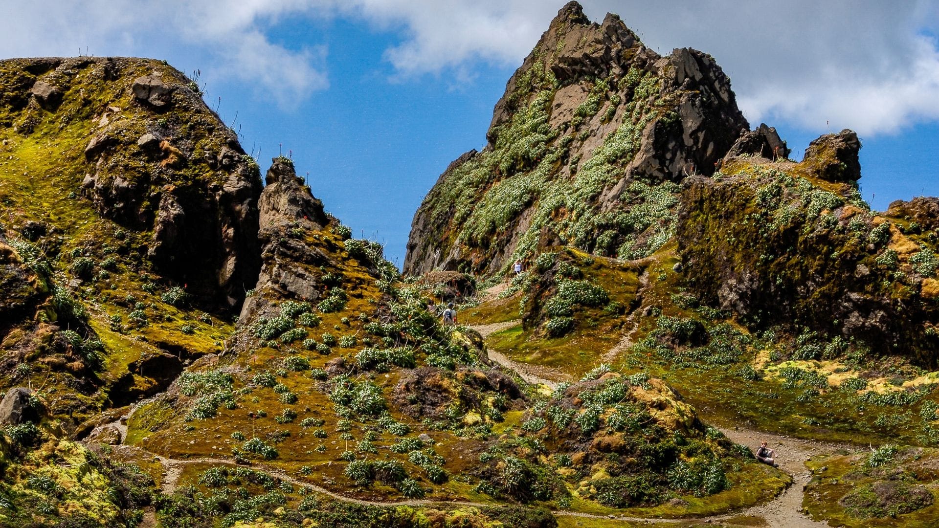 The Wild Side: The Best Caribbean Islands For Hikers And Nature Lovers