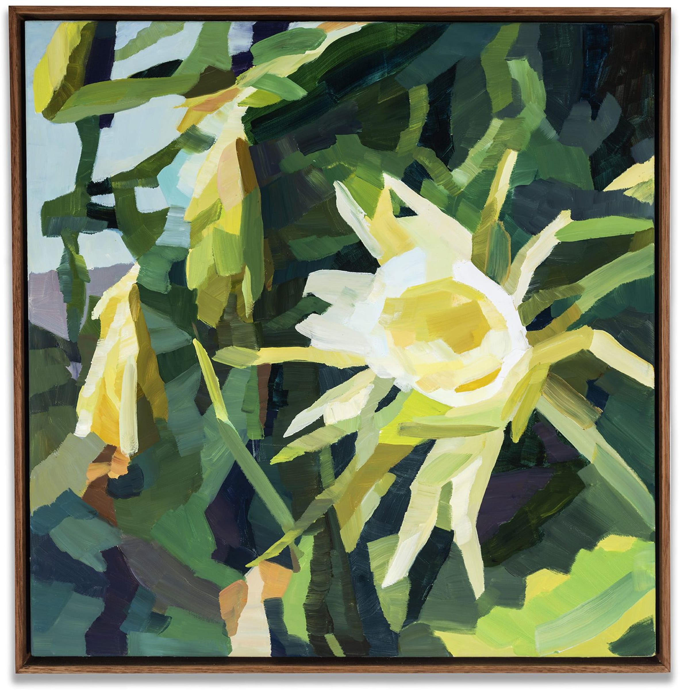 EXHIBITION: LYNDAL HARGRAVE 'DESERT SCENES AND OTHER DREAMS' | EDWINA ...