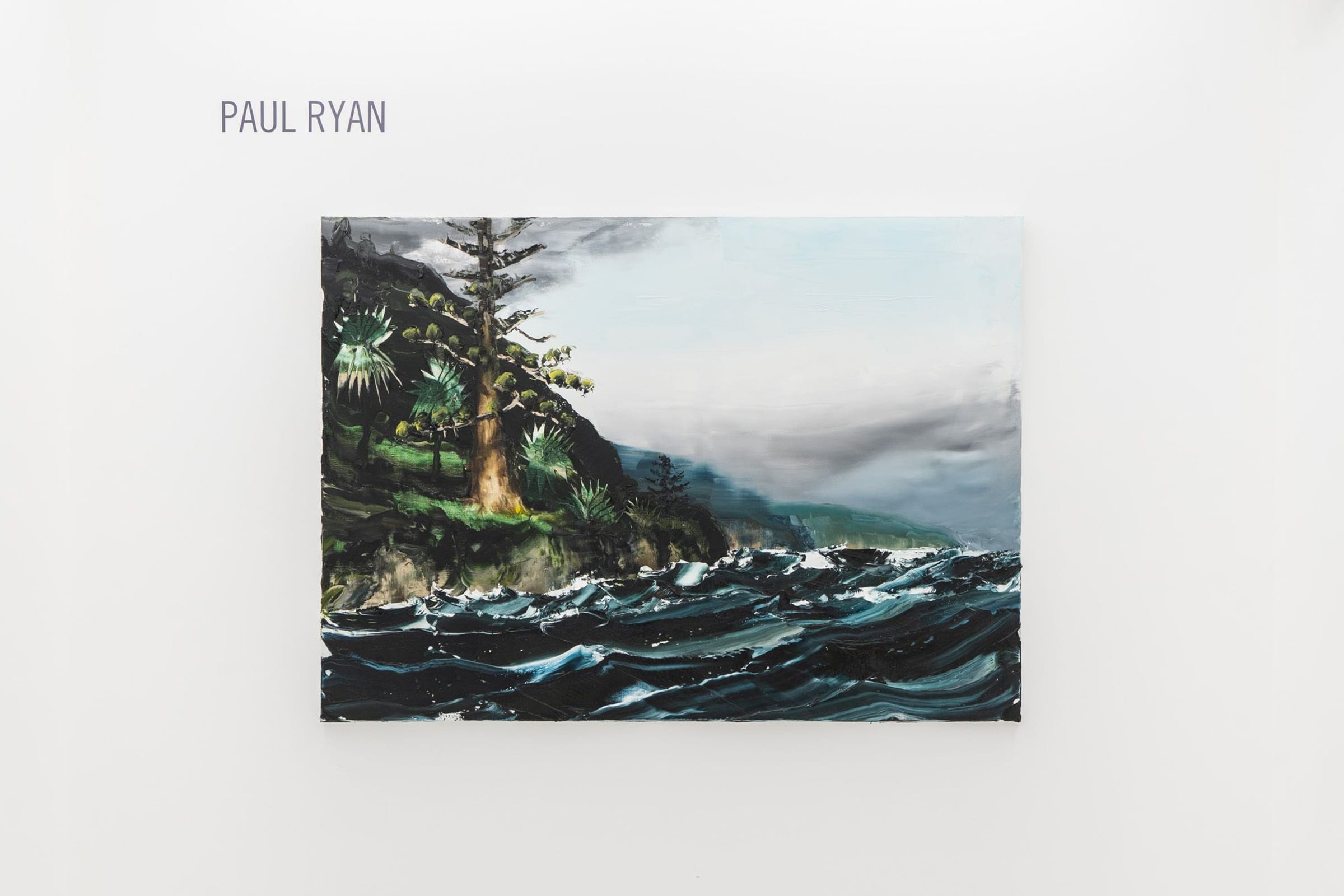 EXHIBITION: PAUL RYAN 'COLEDALE. BACKWASH AND CAMPFIRE SMOKE' | EDWINA ...