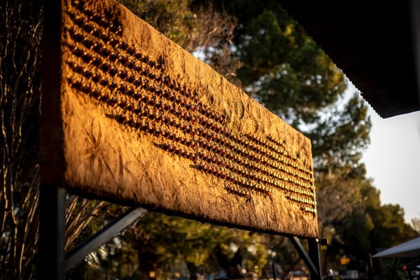 Feature Projects | Embodied Media