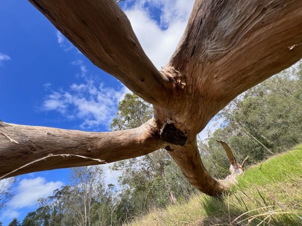 Feature Projects | Embodied Media