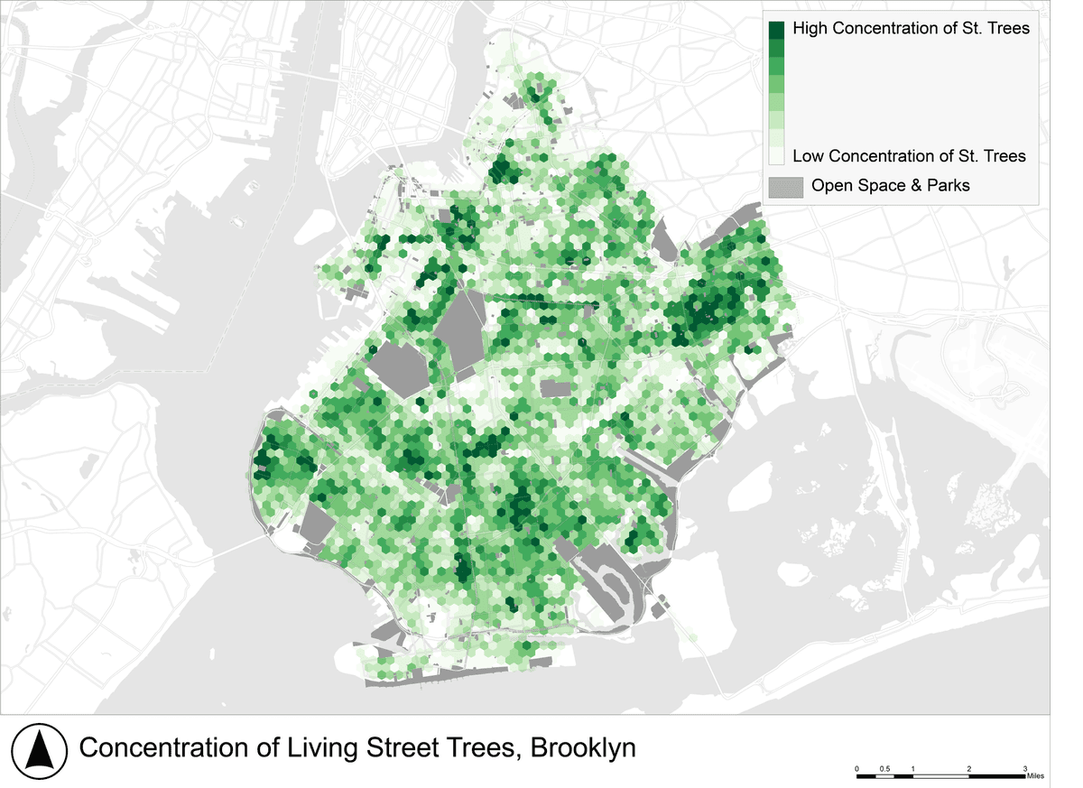 RPA | Expanding NYC's Urban Forest