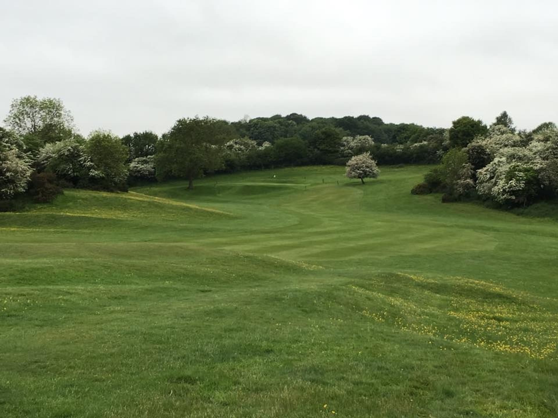 Beverley & East Riding Golf Club - Golf Course Information | Hole19