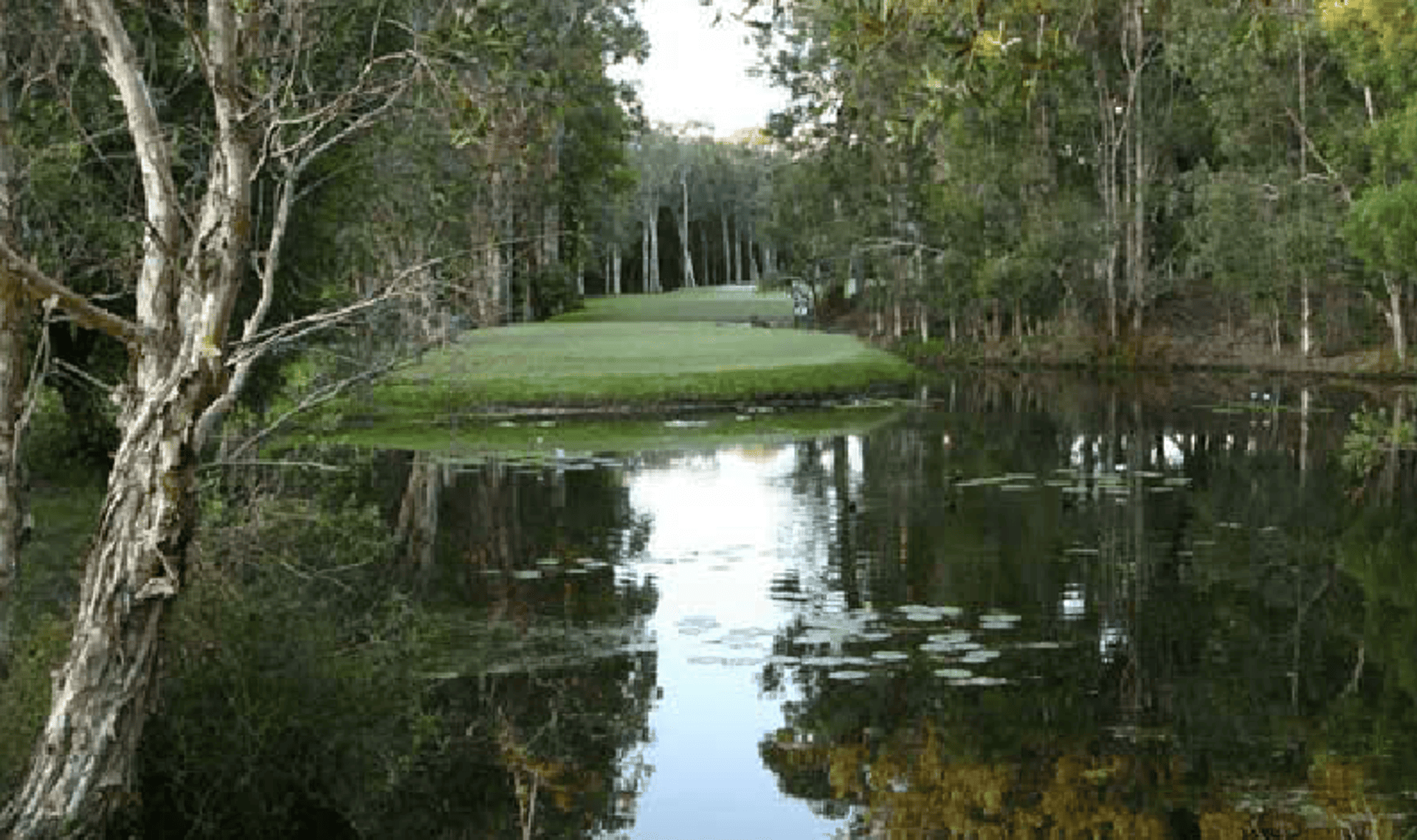 Mount Coolum Golf Club - Golf Course Information | Hole19
