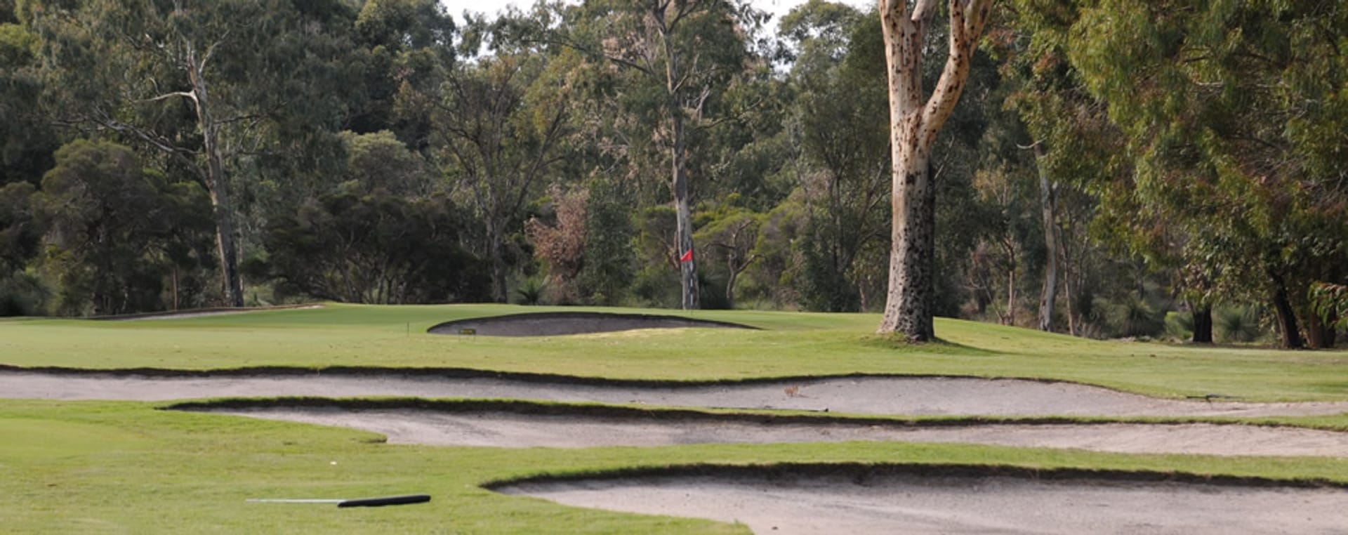 Melville Glades Golf Club - Golf Course Information | Hole19