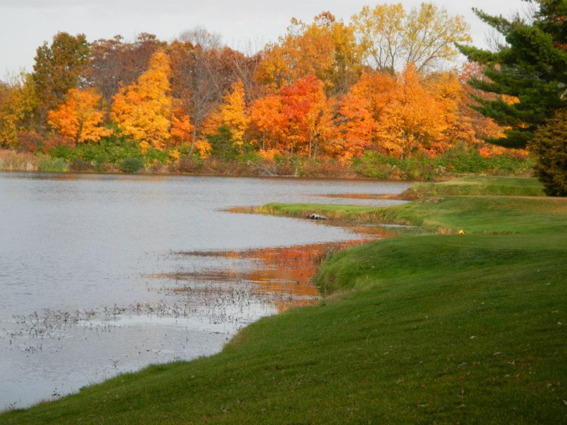 Pine Lakes Country Club at Washington - Golf Course | Hole19