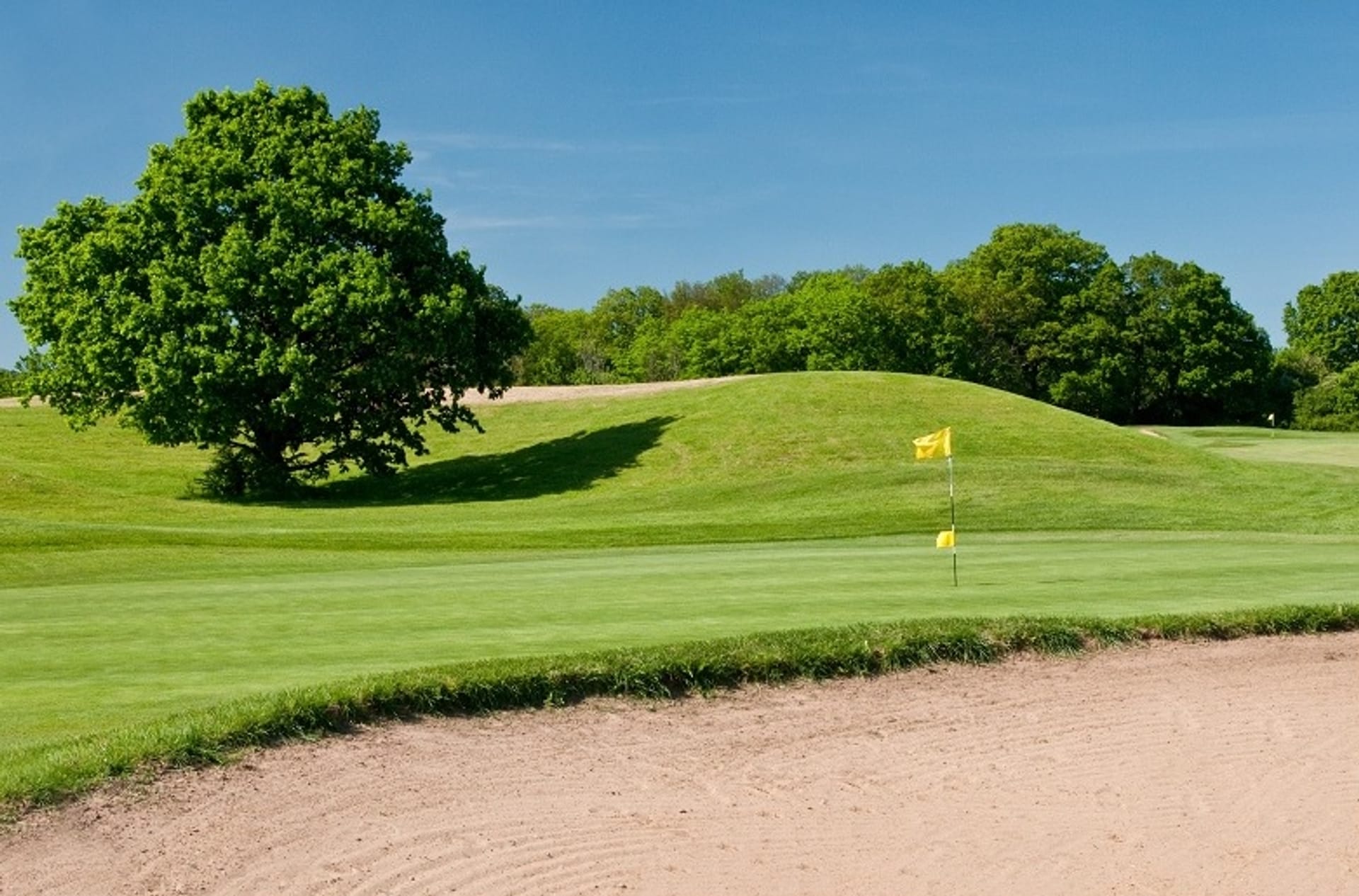 Risebridge Golf Centre - Golf Course Information | Hole19