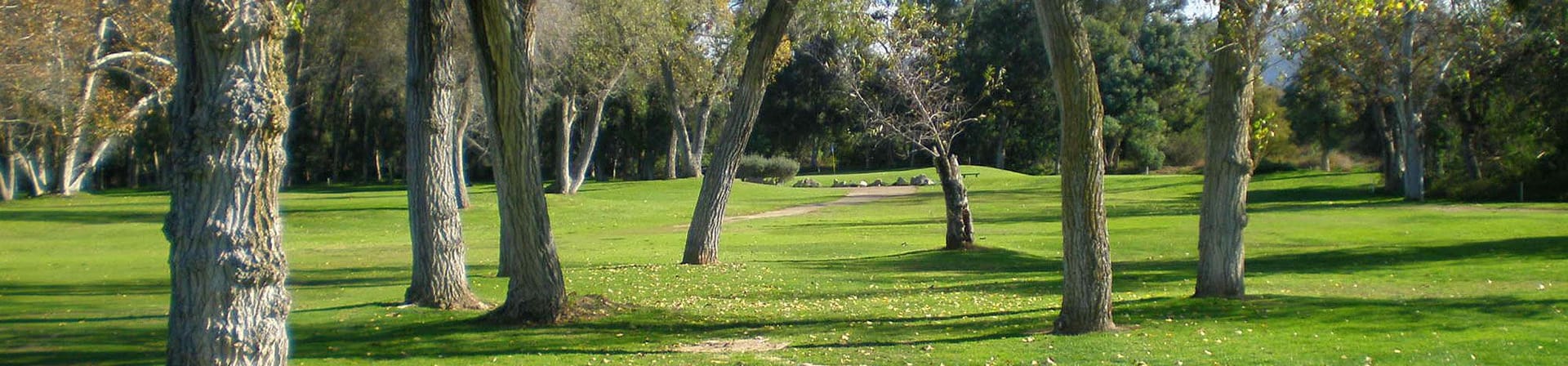 Cottonwood Golf Club (Ivanhoe) - Golf Course Information | Hole19