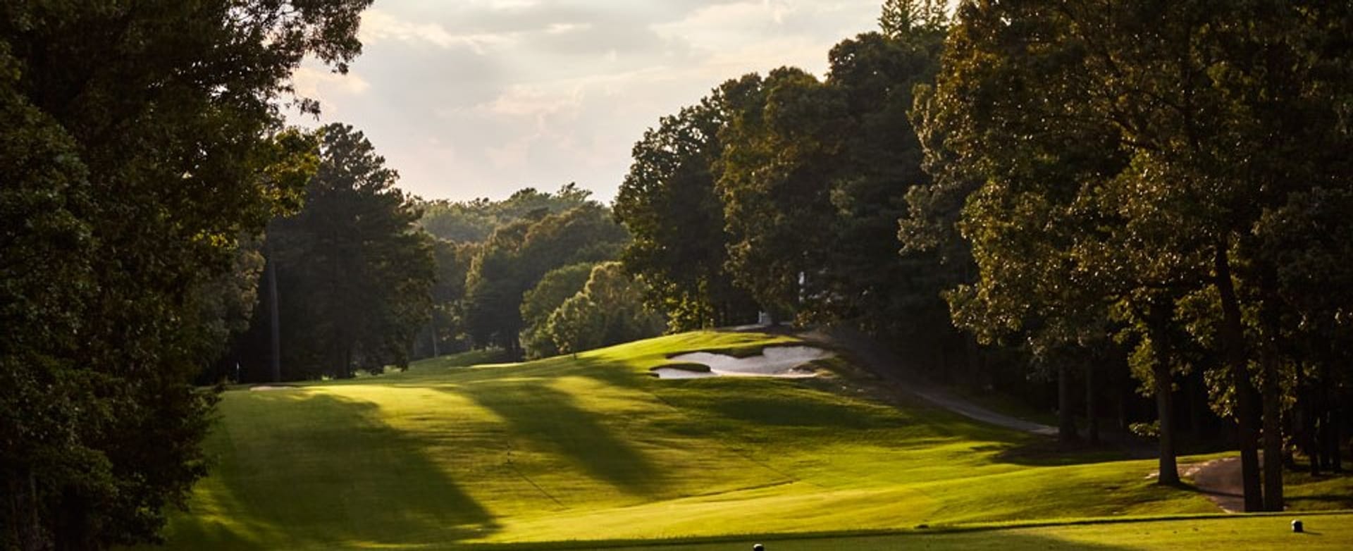 Ford's Colony Country Club (Blue Heron) - Golf Course | Hole19