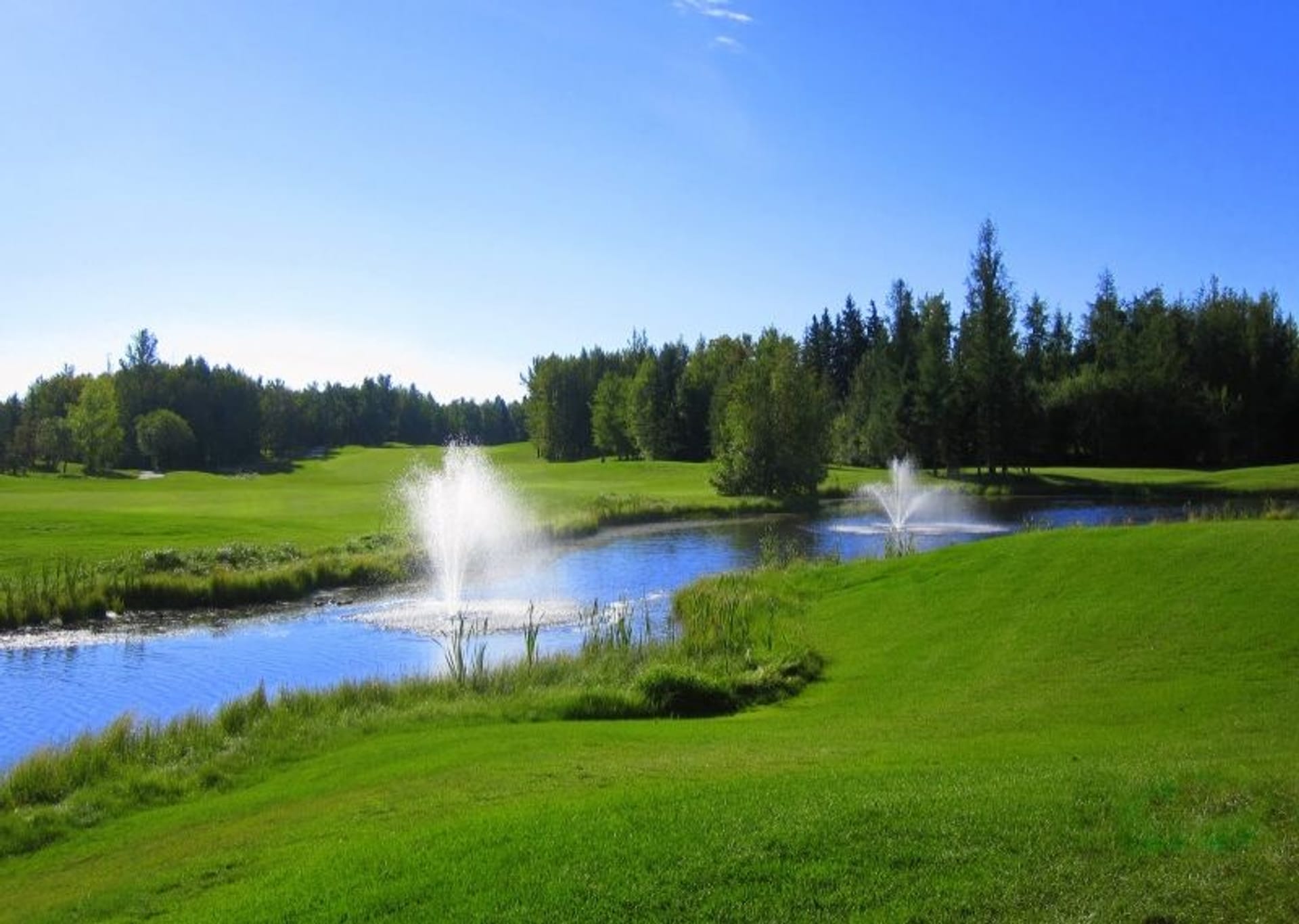 Cougar Creek Golf Resort - Golf Course Information | Hole19