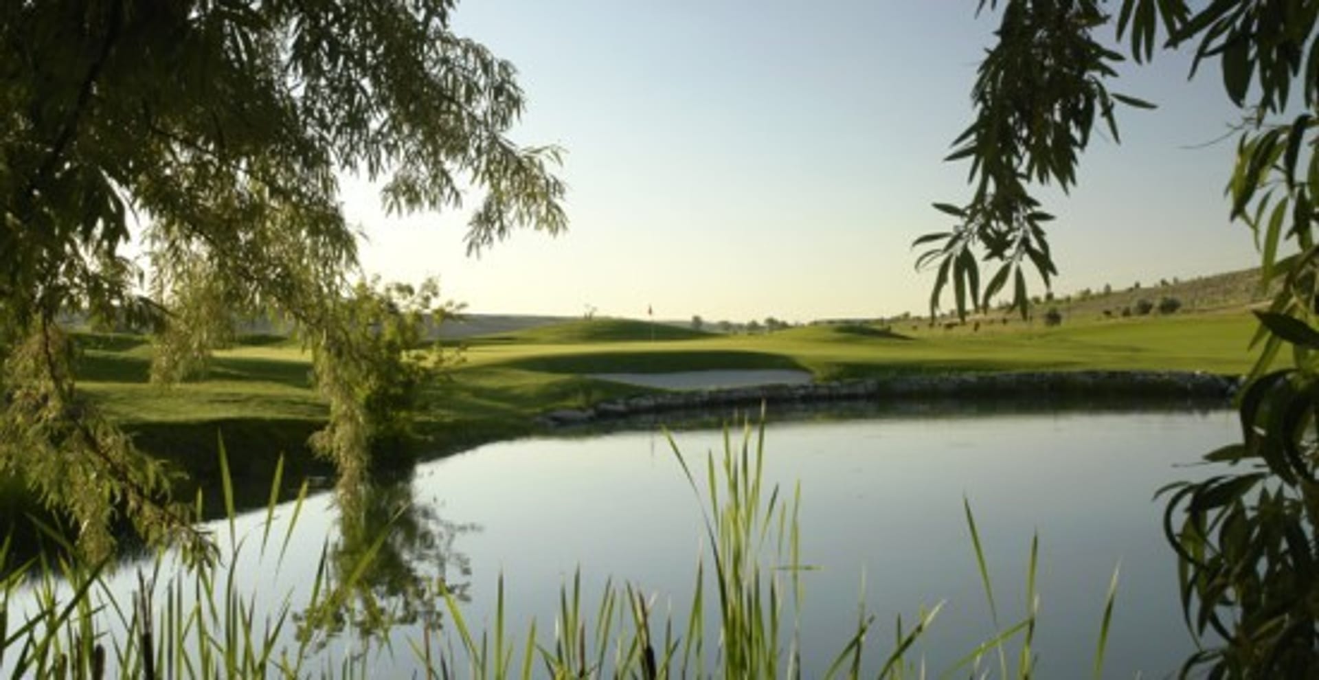 Falcon Crest Golf Club (Championship) - Golf Course | Hole19