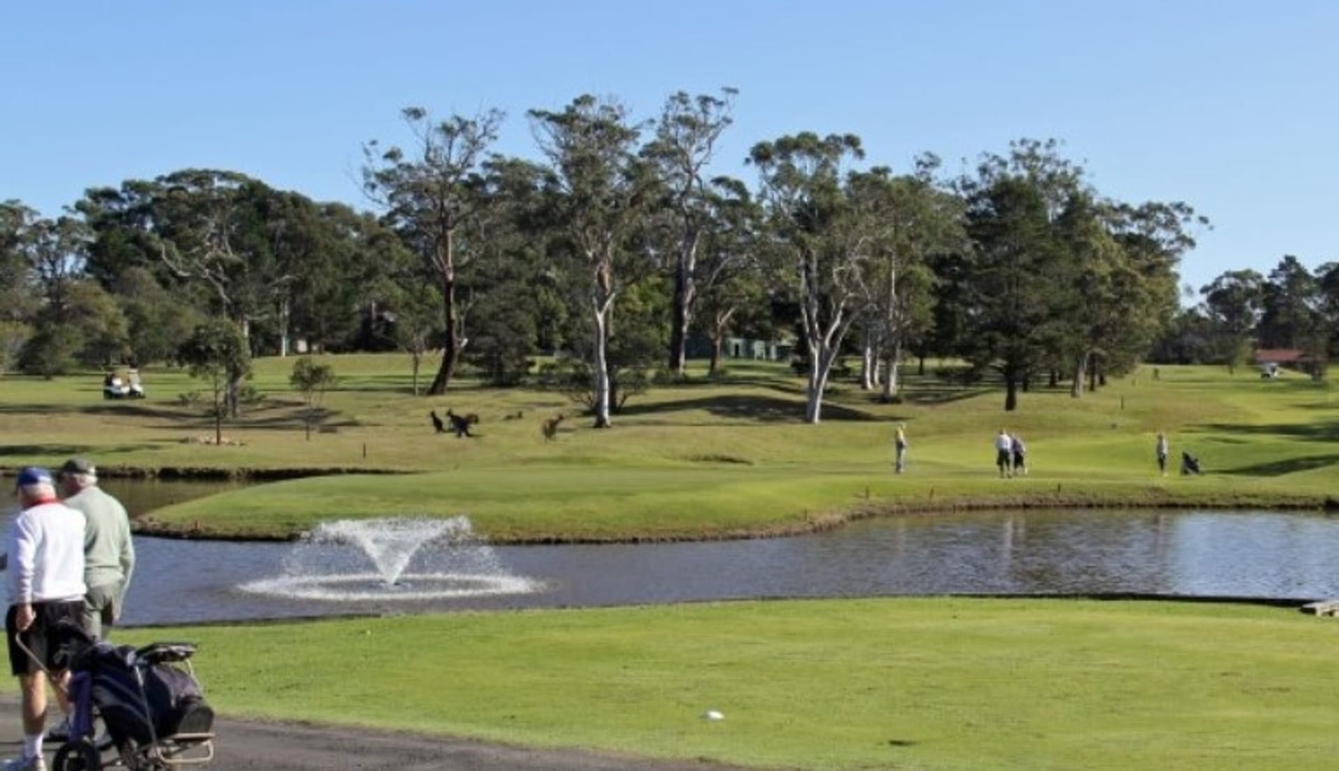 St Georges Basin Country Club - Golf Course Information | Hole19