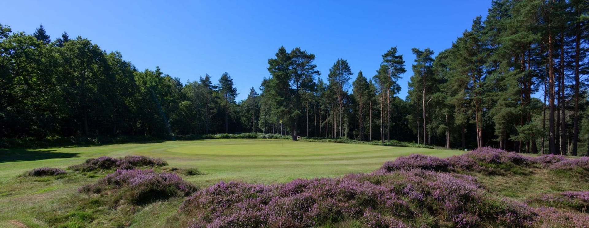 Royal Ashdown Forest Golf Club (West) - Golf Course | Hole19