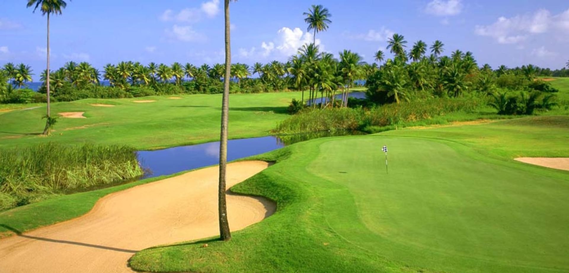 Palmas del Mar Country Club (Flamboyán) - Golf Course | Hole19