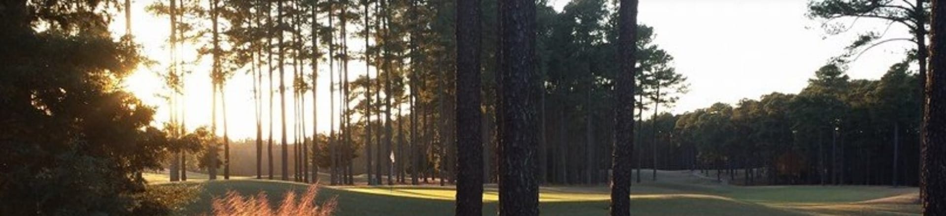 Pinewild Country Club (Magnolia) - Golf Course Information | Hole19