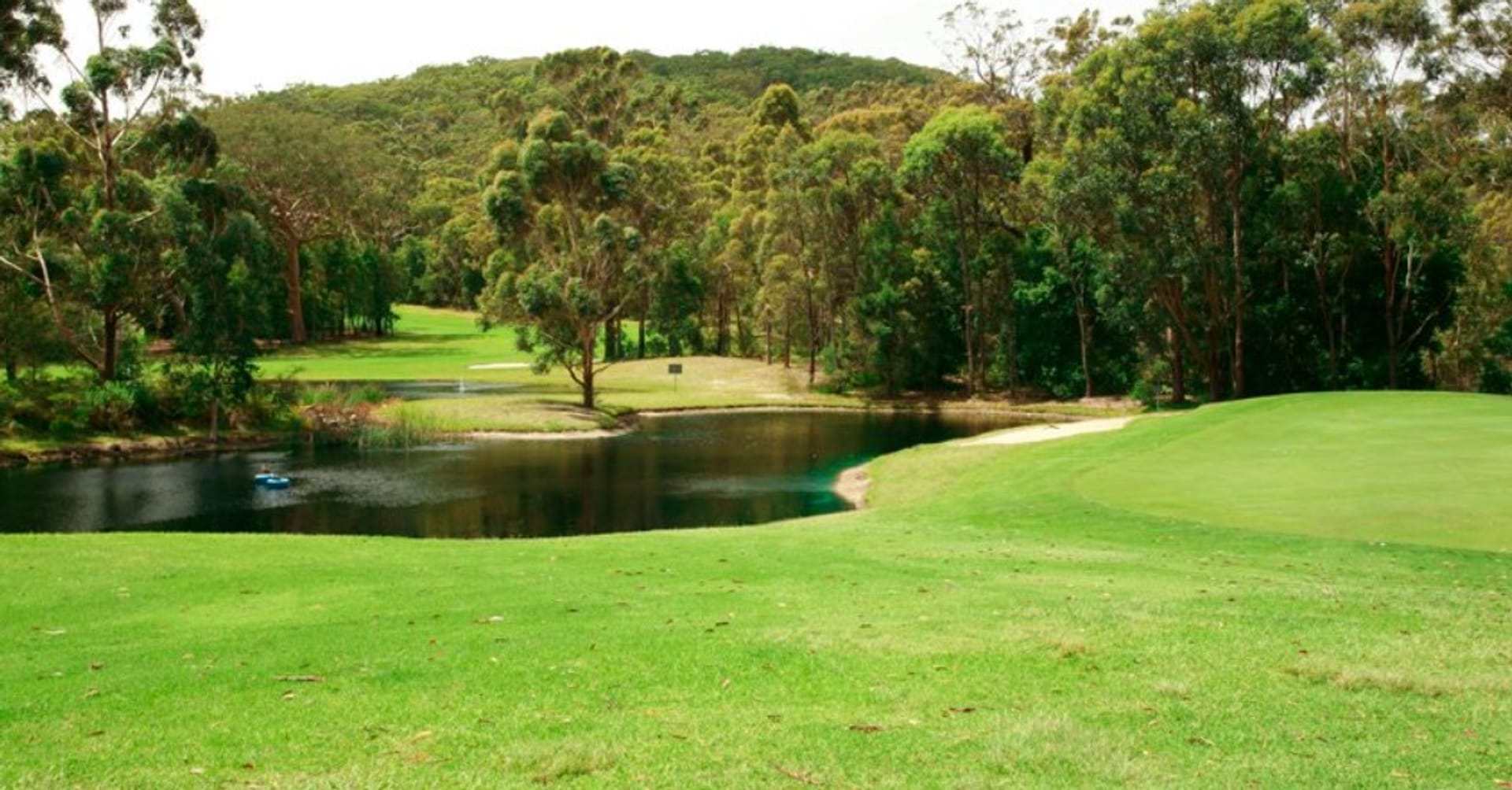 Nelson Bay Golf Club - Golf Course Information | Hole19