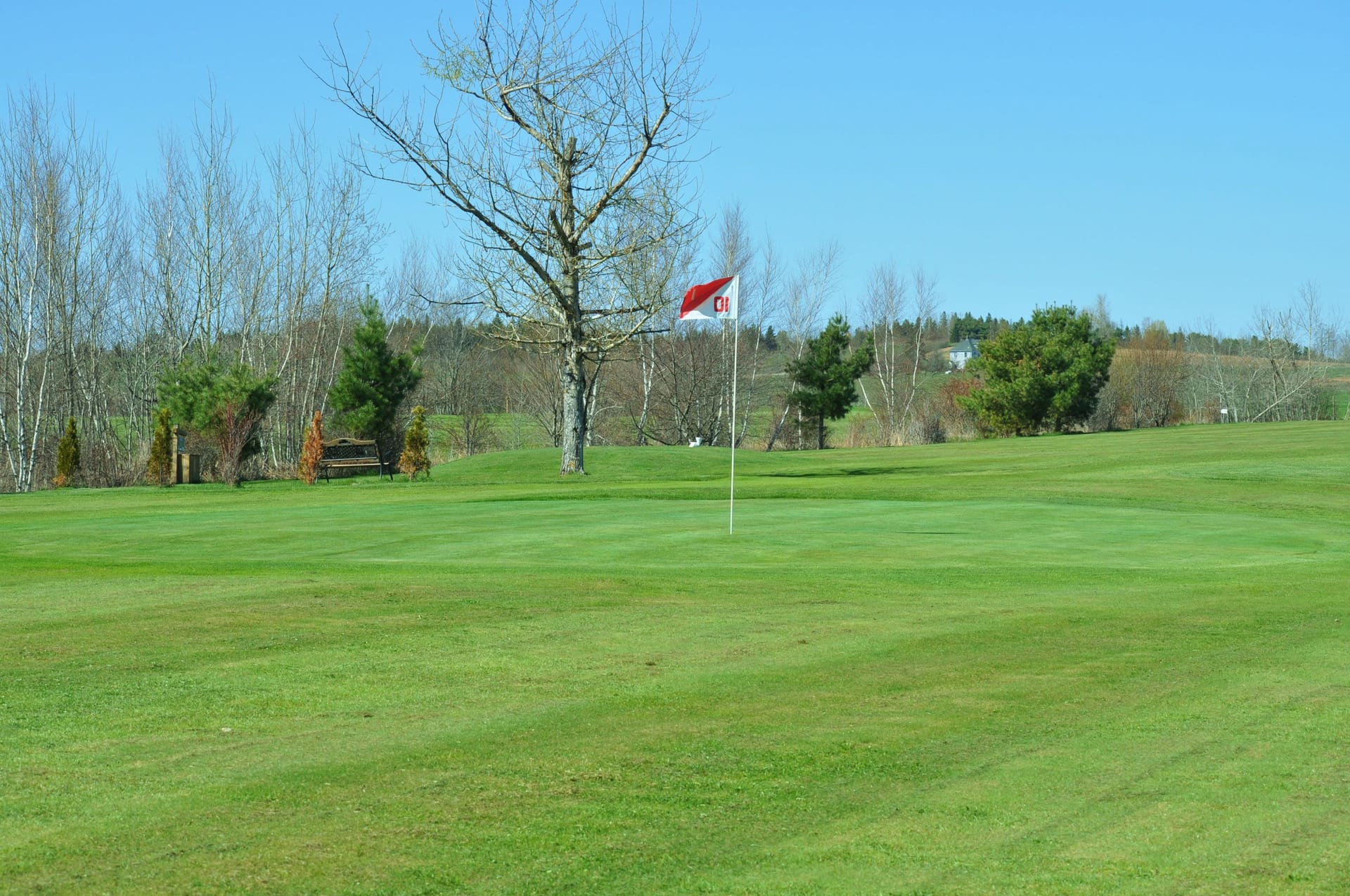 Rosevale Golf Course - Golf Course Information | Hole19