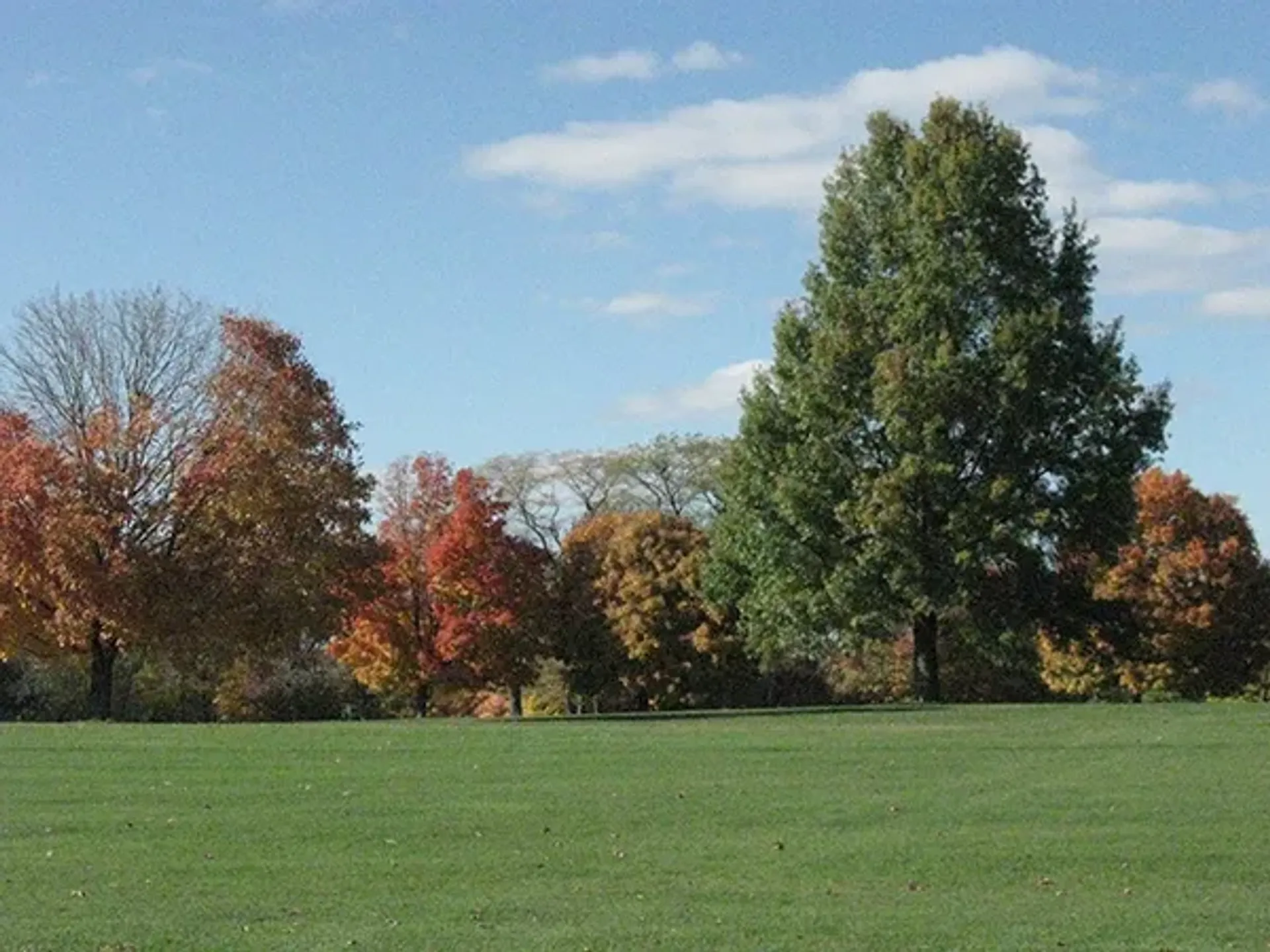 Edgewood Park Golf Club - Golf Course Information | Hole19