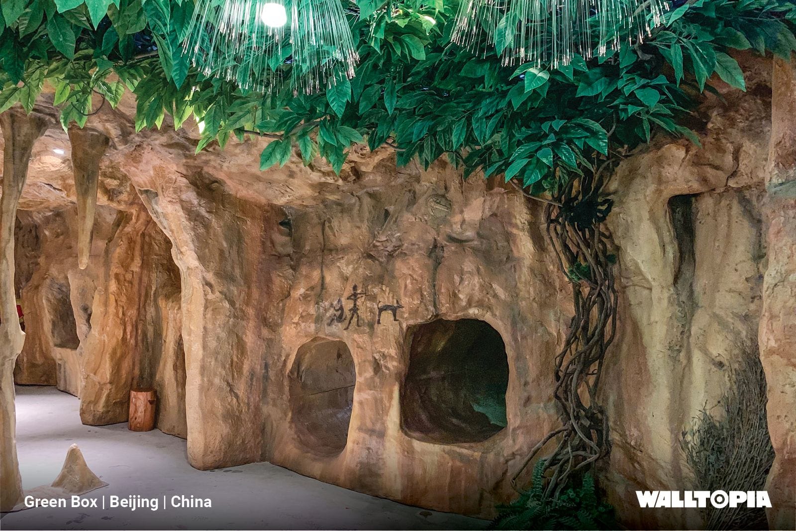 Buy Indoor Caving System | Playlife