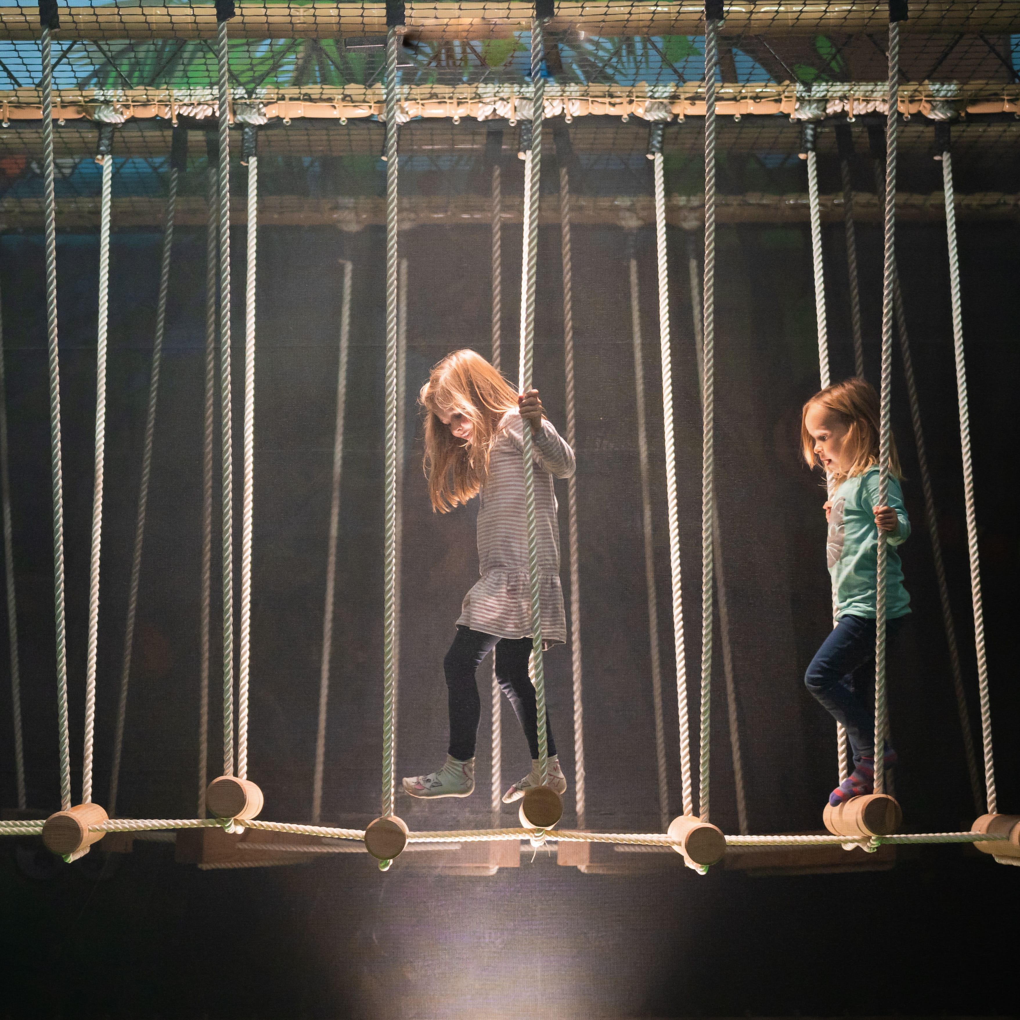 Tiger's World - Auhof Center in Wien | HPS Play Company