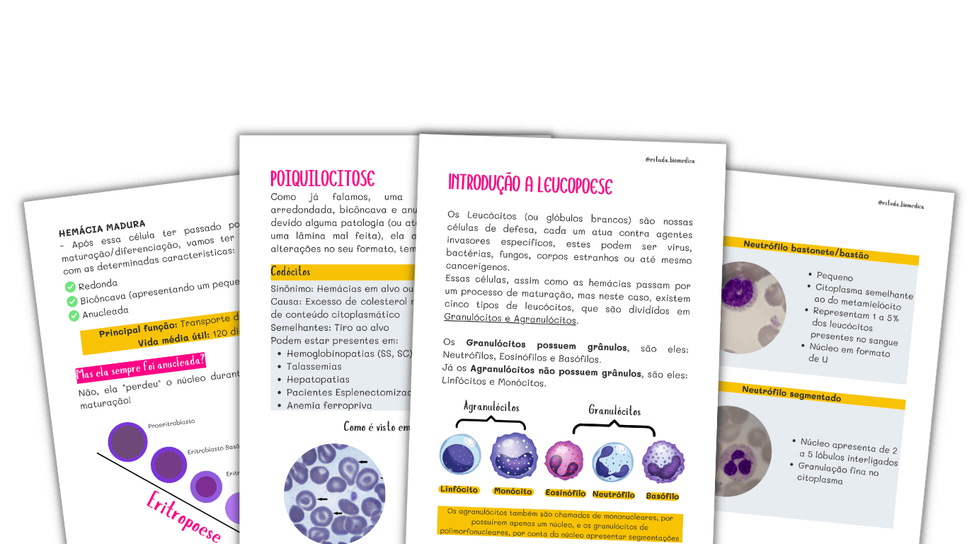 Hematologia é A Ciência Que Estuda O Quê - LIBRAIN Hematologia é A Ciência Que Estuda O Quê - LIBRAIN