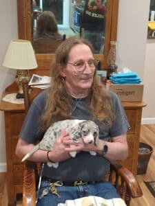 Beagle Reviews | Pawrade.com