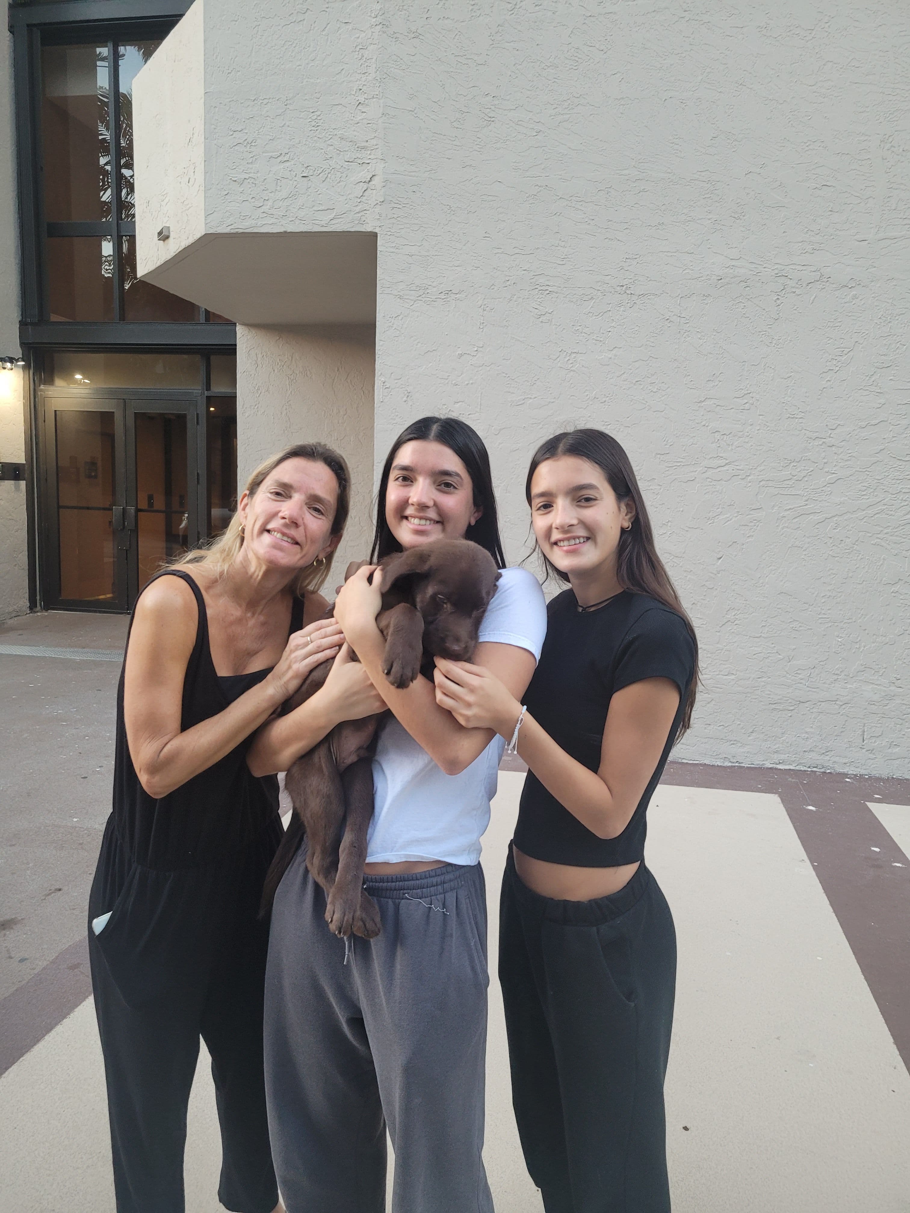 Labrador Retriever Reviews | Pawrade.com