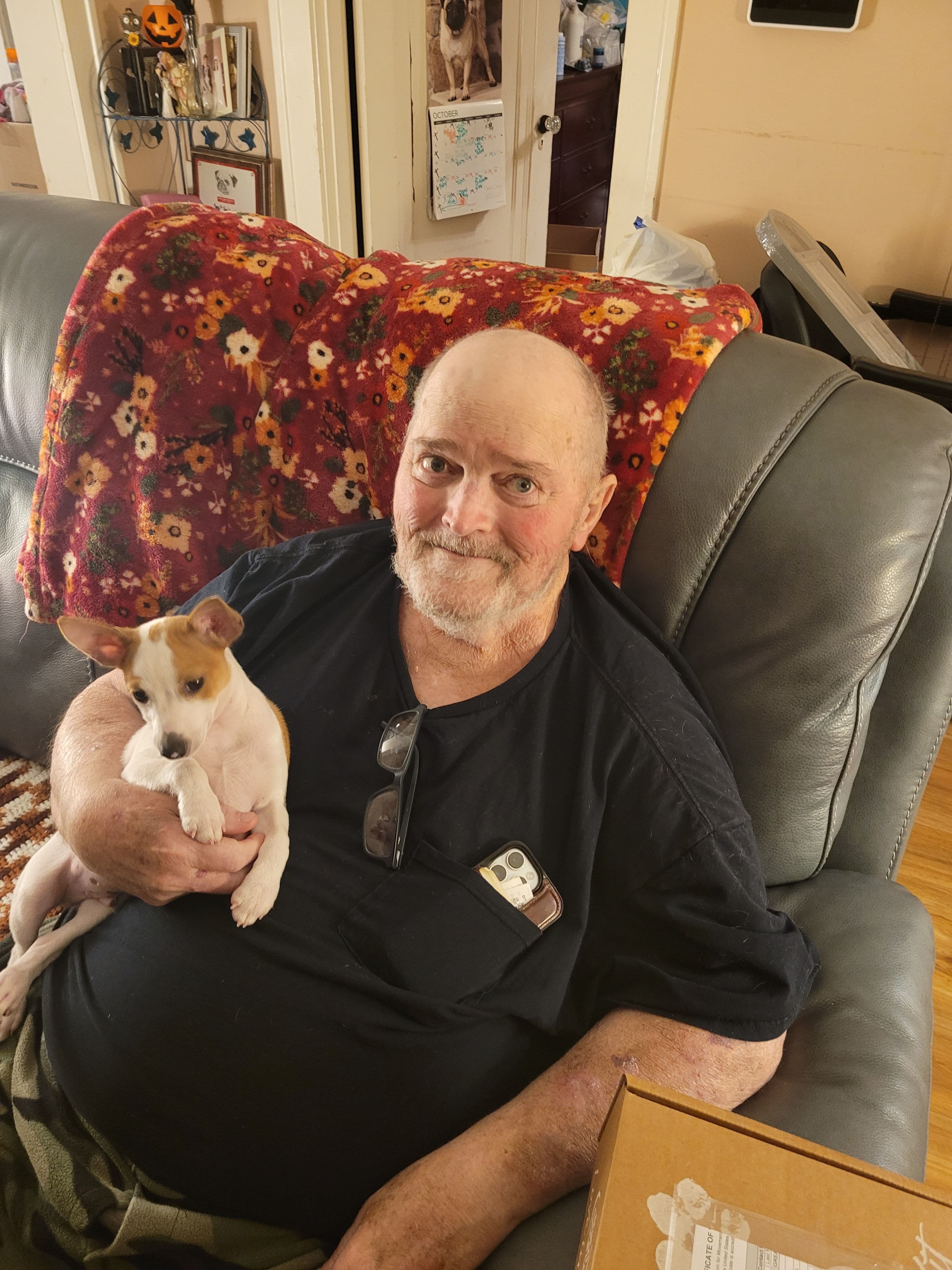 Rat Terrier Reviews | Pawrade.com