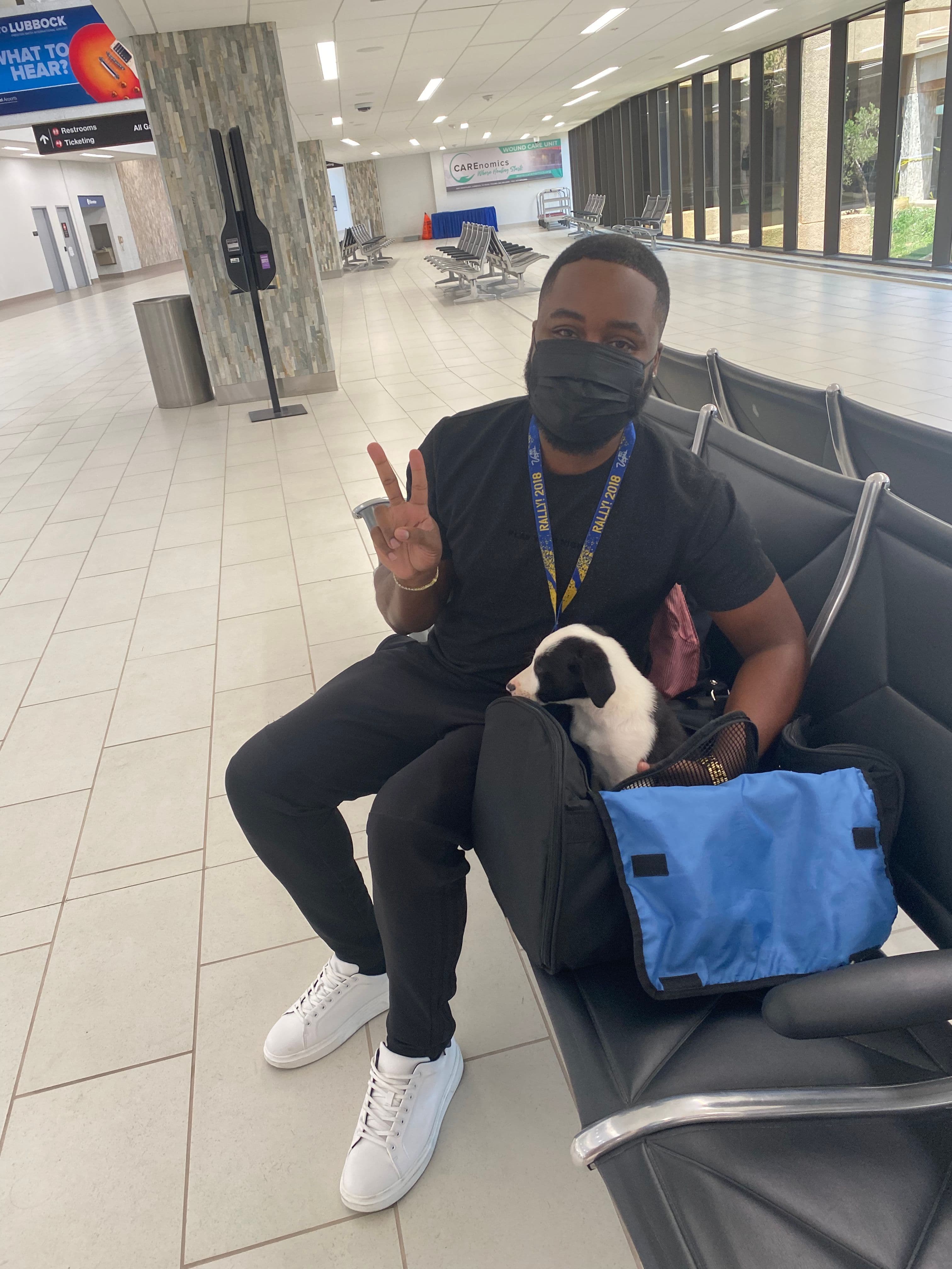 Border Collie Reviews | Pawrade.com