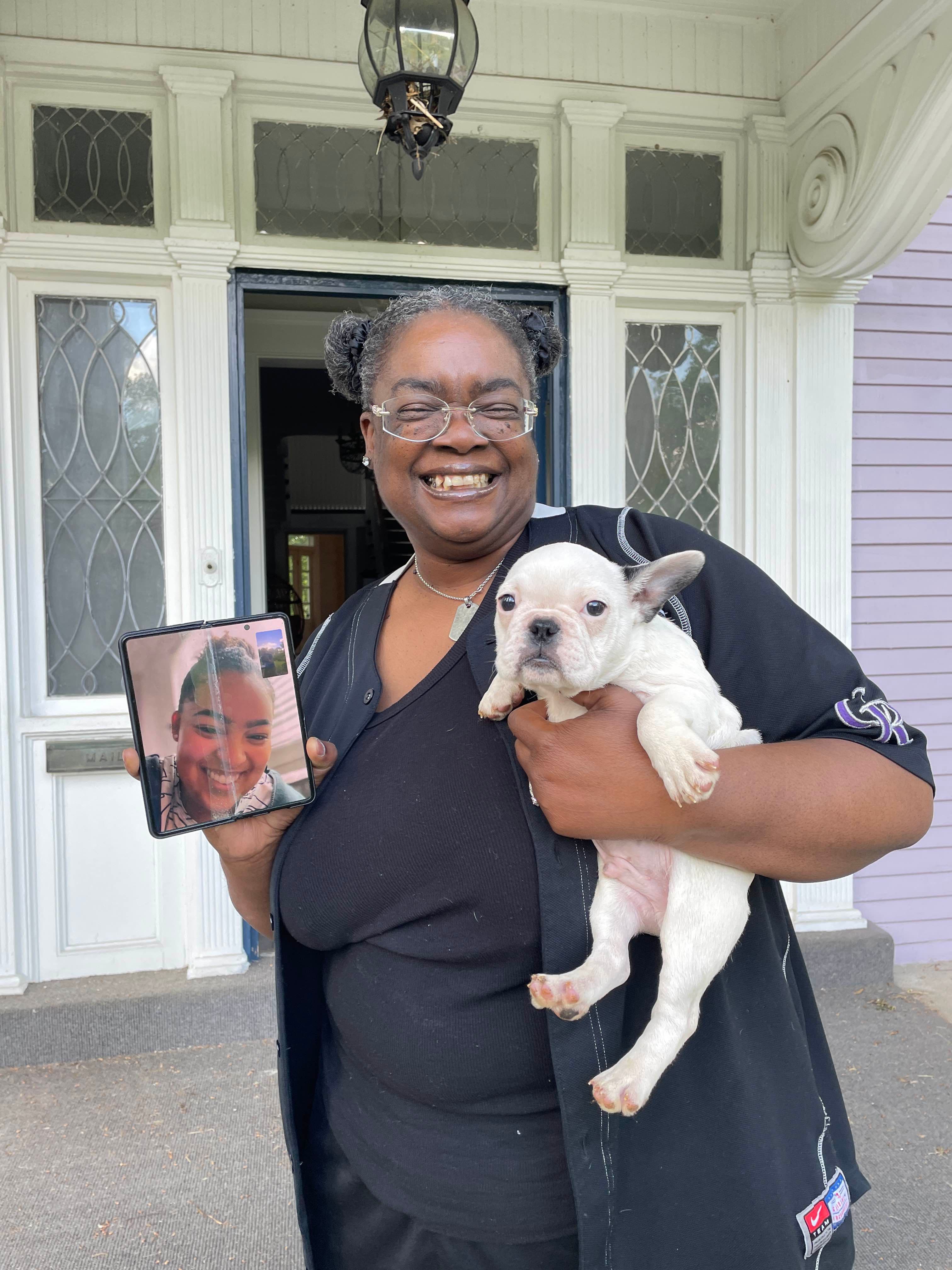 French Bulldog Reviews | Pawrade.com