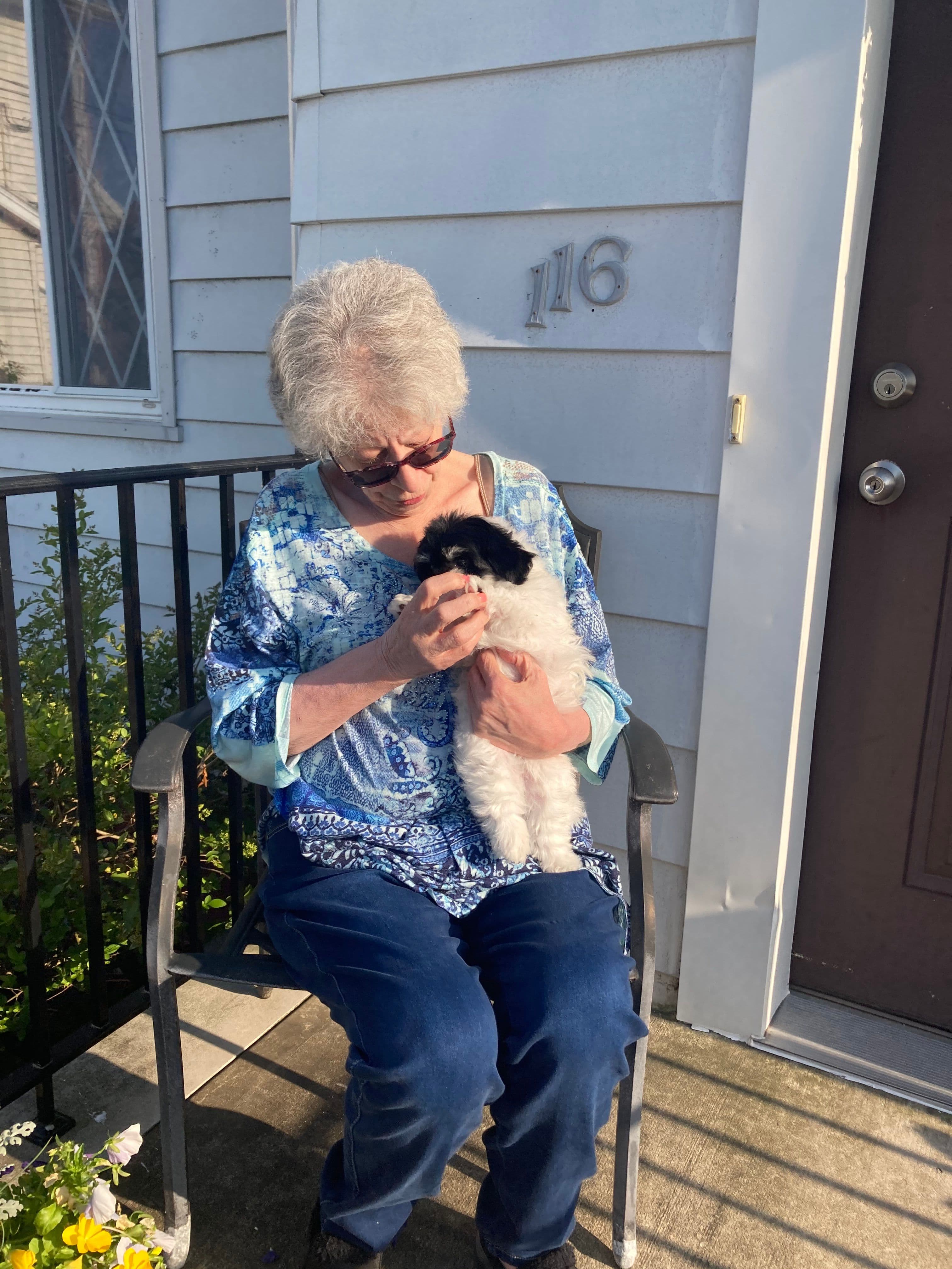 Beagle Reviews | Pawrade.com