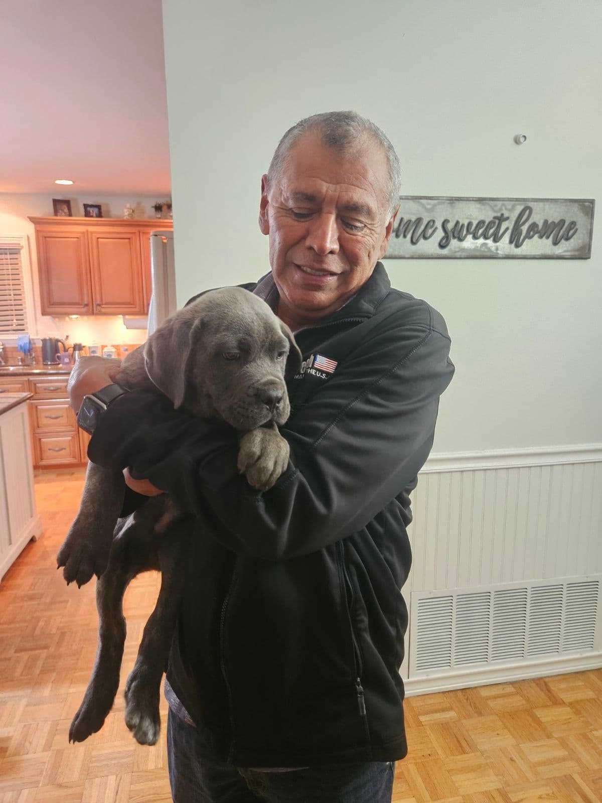 Cane Corso Mastiff Reviews | Pawrade.com