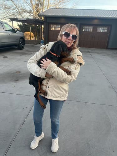 Customer Reviews | Pawrade.com