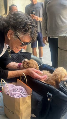 Customer Reviews | Pawrade.com