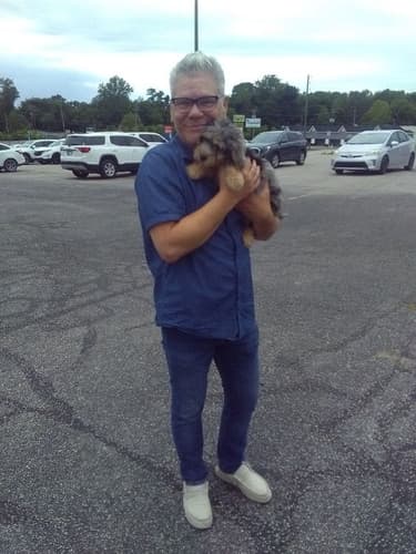 Nicolas - Cocker Spaniel Puppy 44B8C9 | Pawrade