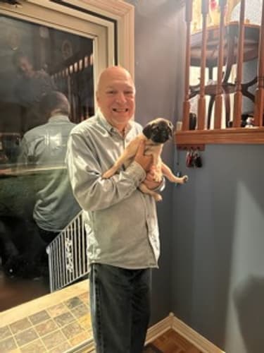 Kurtis - Havapoo Puppy F3C265 | Pawrade