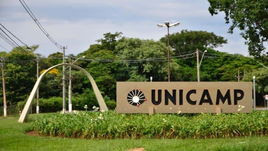 Curso de História na Unicamp Recebe Nota Máxima de Principais ...