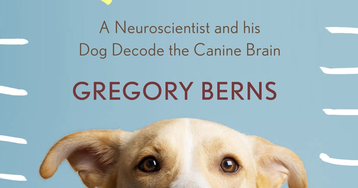 How Dogs Love Us by Gregory Berns | Book | Scribe