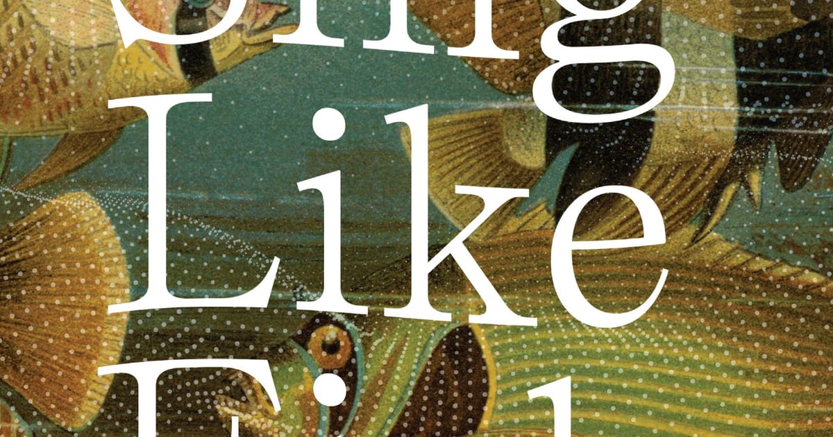 Sing Like Fish by Amorina Kingdon | Book | Scribe