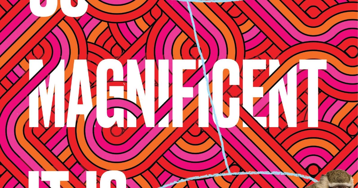 A System So Magnificent It Is Blinding by Amanda Svensson | Book | Scribe