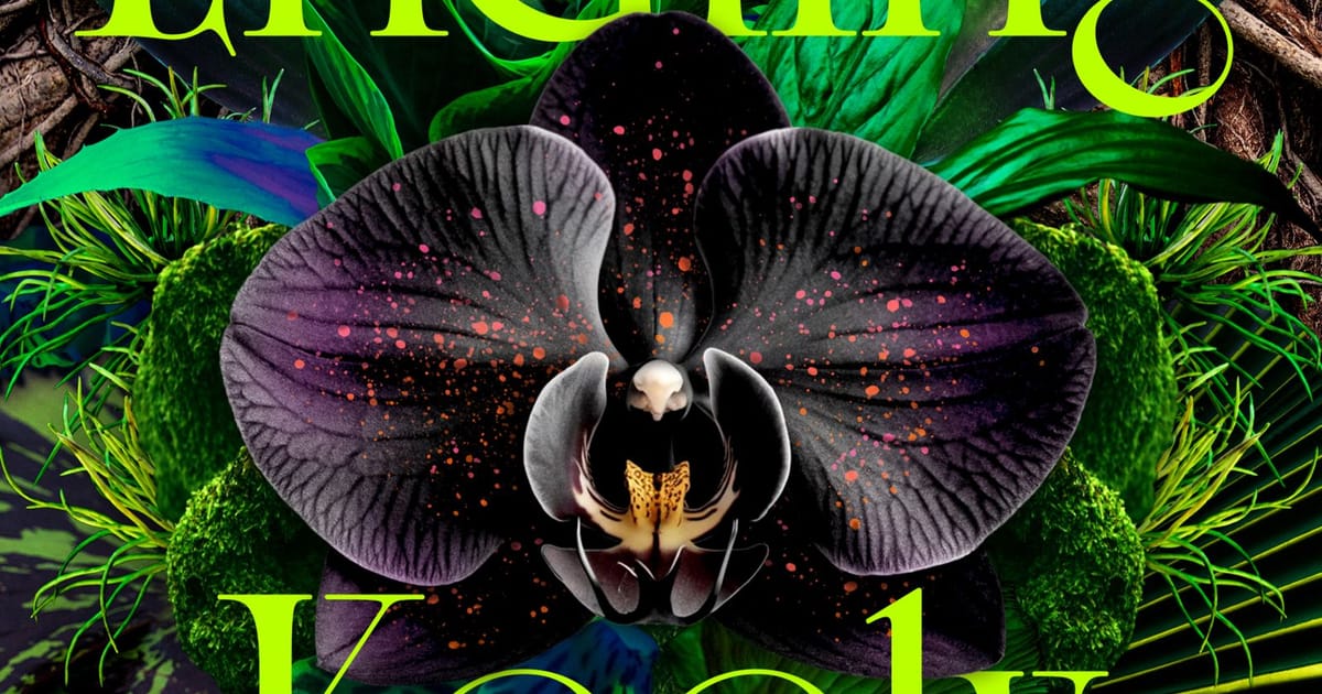 The Endling by Keely Jobe | Book | Scribe