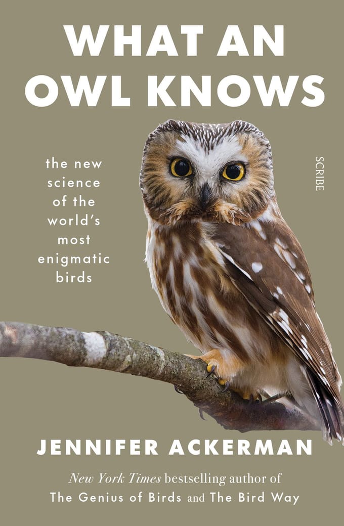 What an Owl Knows by Jennifer Ackerman | Book | Scribe