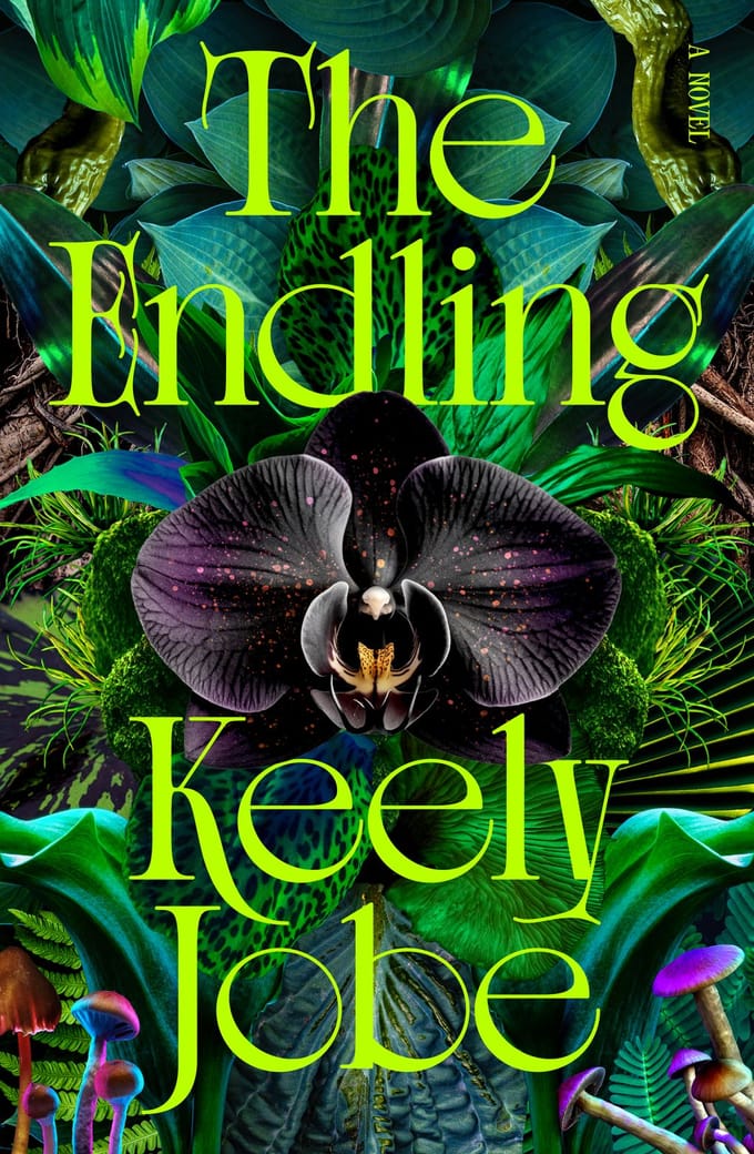 The Endling by Keely Jobe | Book | Scribe