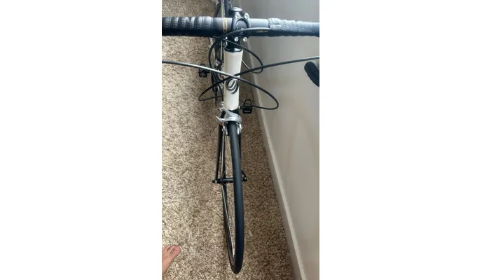 Speed - Speed levado a sério | Semexe